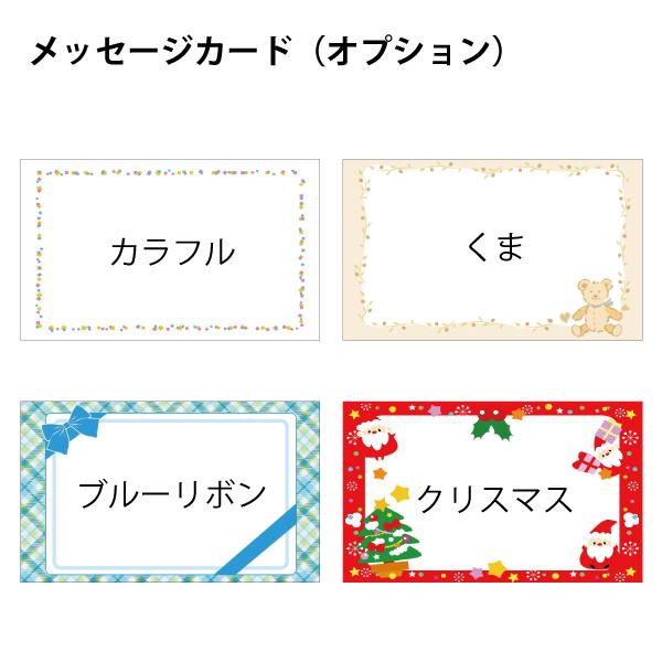 【10本以上】インクジェット印刷名入れ 万年筆 PILOT(パイロット)LIGHTIVE ライティブ :flt-2sr-10:メネット - 通販 - Yahoo!ショッピング