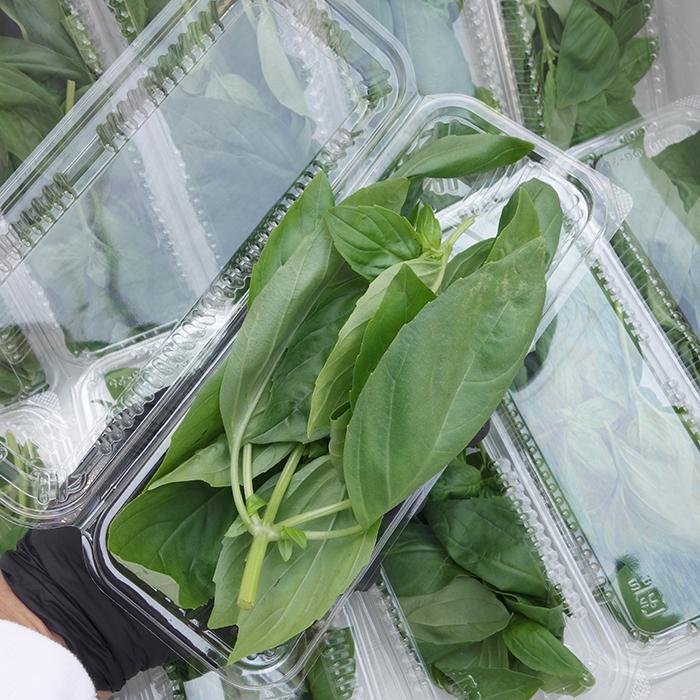 生バジル 20g×10パック （200g） フレッシュハーブ : 沖縄市場たま青果 - 通販 - Yahoo!ショッピング