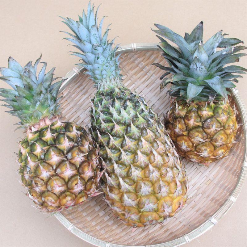 ★送料無料☆お任せフルーツ 1〜5種類 お楽しみ福袋 10000円コース : fset10 : 沖縄市場たま青果 - 通販 - Yahoo!ショッピング