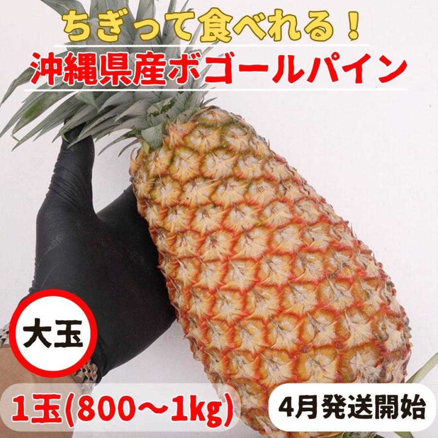 スナックパイン 1玉 (約800g〜1kg）沖縄県産 :salesunakku:沖縄市場たま青果 - 通販 - Yahoo!ショッピング