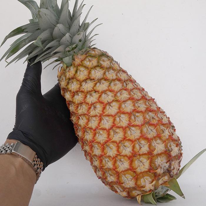 スナックパイン 1玉 (約800g〜1kg）沖縄県産【発送4月〜】 お中元におすすめ : 沖縄市場たま青果 - 通販 - Yahoo!ショッピング
