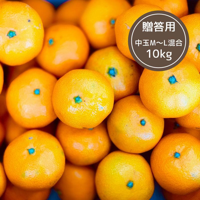 塩屋みかん 中玉 贈答用 10kg M 〜 L サイズ 混合 産地直送 熊本県産 甘い ギフト プレゼント 箱買い : メルカートくまもと - 通販 - Yahoo!ショッピング