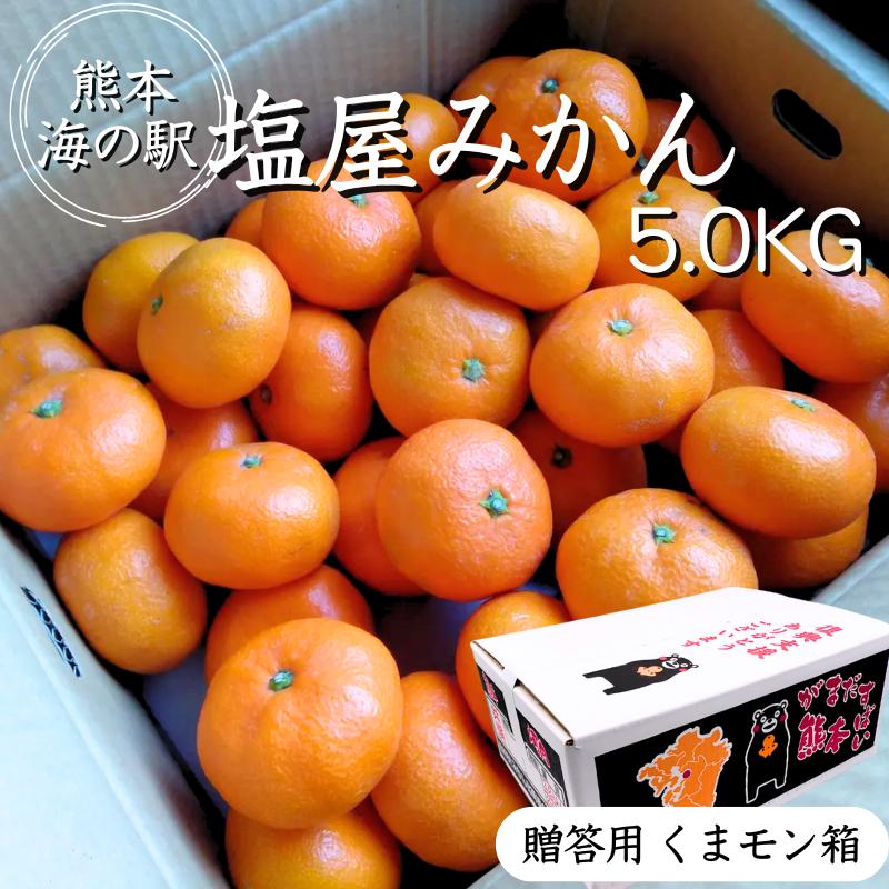 塩屋みかん 中玉 贈答用 5kg M 〜 L サイズ 混合 産地直送 熊本県産 甘い ギフト プレゼント 箱買い : メルカートくまもと - 通販 - Yahoo!ショッピング