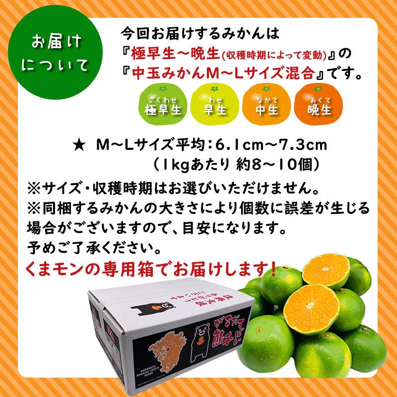 塩屋みかん 中玉 贈答用 5kg M 〜 L サイズ 混合 産地直送 熊本県産 甘い ギフト プレゼント 箱買い : メルカートくまもと - 通販 - Yahoo!ショッピング