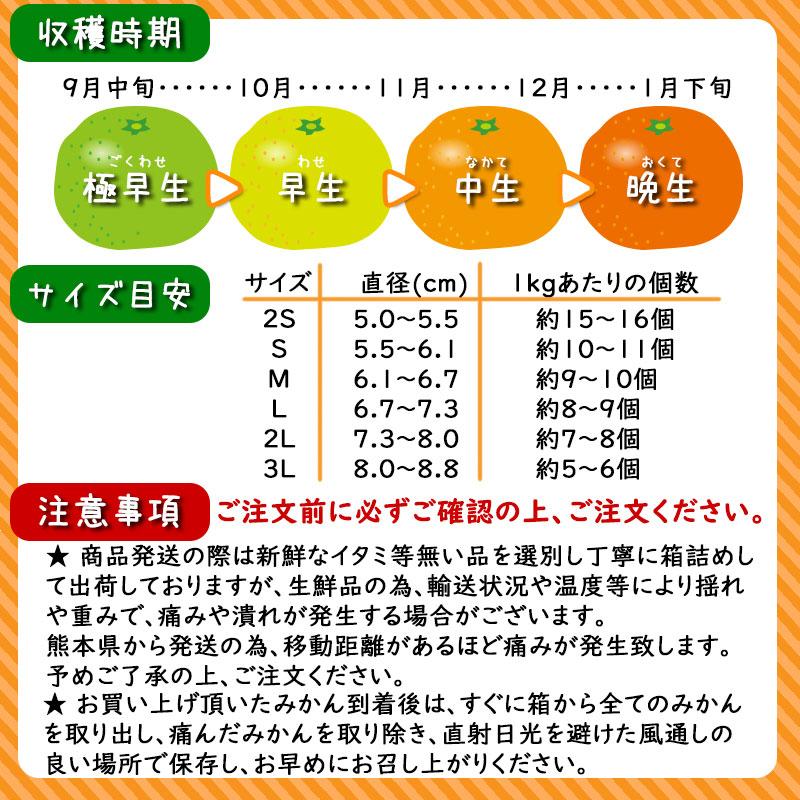 塩屋みかん 中玉 贈答用 5kg M 〜 L サイズ 混合 産地直送 熊本県産 甘い ギフト プレゼント 箱買い : メルカートくまもと - 通販 - Yahoo!ショッピング