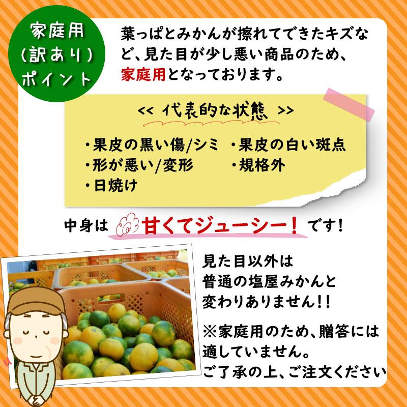 塩屋みかん 小玉 家庭用 3kg 2S 〜 S サイズ 混合 極早生 早生 河内産 くまモン 甘い 柑橘 九州 訳あり 蜜柑 わけあり 熊本土産 箱 箱買い : メルカートくまもと - 通販 ...