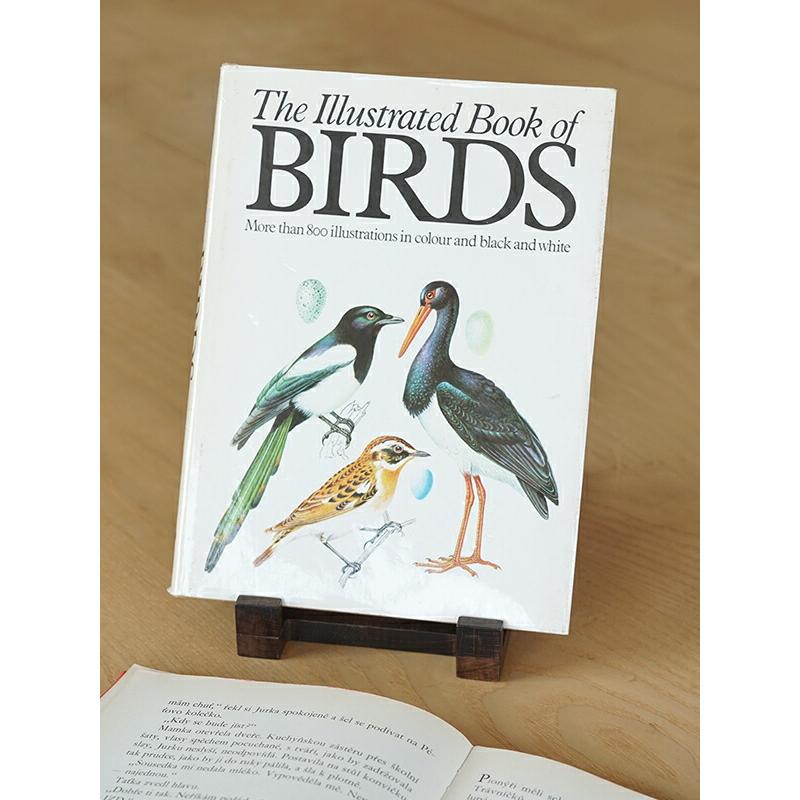 ディスプレイスタンド S ブラウン 木製 ナチュラル ホームステッド アクシス Homestead HS3384 皿立て シンプル ディッシュスタンド ディッシュラック : メルシープレゼント ...