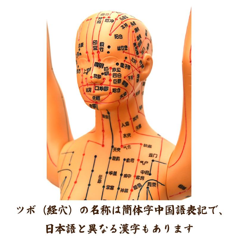 経絡・経穴（ツボ）人形 人体模型 鍼灸 エステサロン用品 : かっさ専門店 MERIDIAN ショップ - 通販 - Yahoo!ショッピング