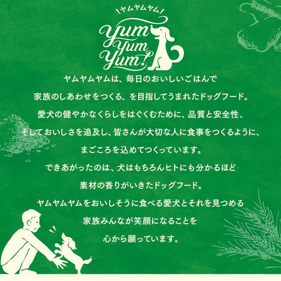 ヤムヤムヤム シニア&ライト チキン やわらかドライタイプ 800g(80g×10袋) 犬 ドッグ フード 小粒 鶏肉 低脂肪 高齢期 体重管理 国産 :4571245859495:ワンちゃん ...