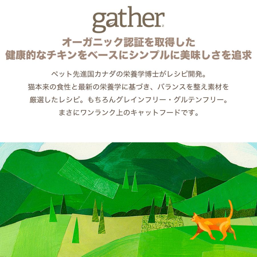 gather!(ギャザー) フリーエーカー キャット 成猫用 454g 猫 フード 猫用 キャットフード オーガニック グレインフリー : ワンちゃんの楽園 メルランド - 通販 ...