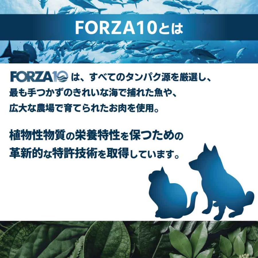 active（FORZA10） フォルツァ10 アクティブライン デルモアクティブ 小粒 1.5kg 犬 フード ドッグフード 皮膚 被毛 スキンケア 犬用 ドライ 療法食 無添加 ...