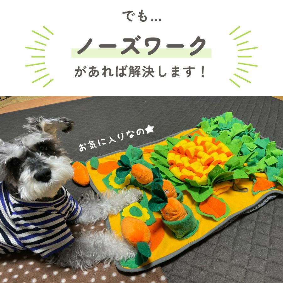 わが家のアイドル ノーズワーク マット にんじん畑 にんじん 犬 犬用 おもちゃ 知育玩具 運動不足 早食い防止 嗅覚訓練 音が鳴る ぬいぐるみ 手洗い可 小型犬 中型犬 大型犬 : ワン ...