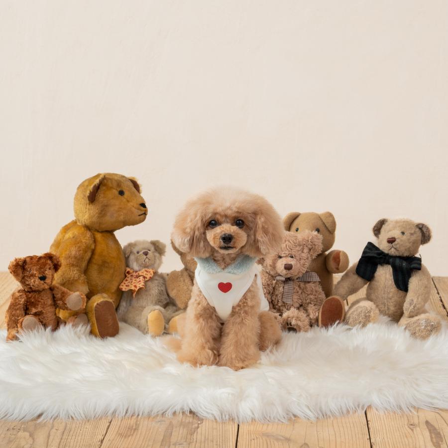 Love you ボアパーカー クレイジーブー crazy boo 可愛い お揃い 小型犬 服 CB231032 くま柄 ボア付き ふわふわ ...