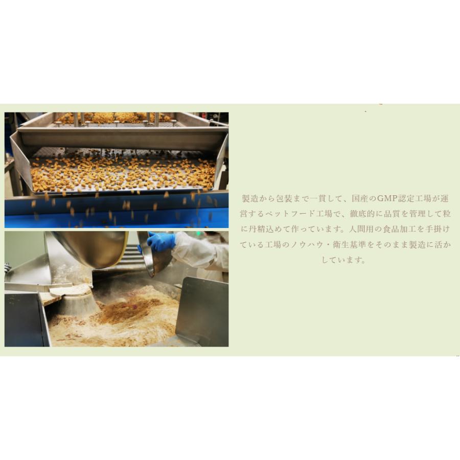 ミシュワン ドッグフード MISHONE 小型犬用 1kgx2袋 全年齢対応 馬肉 まぐろ 鶏肉 グルテンフリー 正規品 国産 無添加 小麦グルテンフリー 1kg : PETSHOP ...