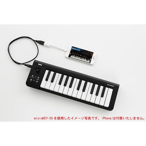 KORG MIDIキーボード microkey2-61 サスティンペダル付きセット KORG MIDIキーボード microkey2-61 サスティンペダル付きセット