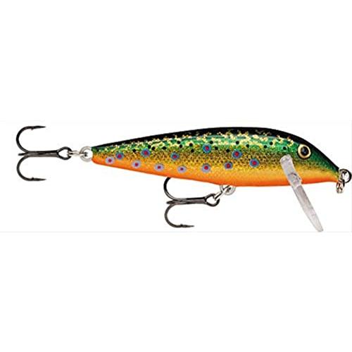 ラパラ(Rapala) カウントダウン 5cm 5g ブルックトラウト COUNT DOWN CD5-BTR : Montana forma - 通販 - Yahoo!ショッピング