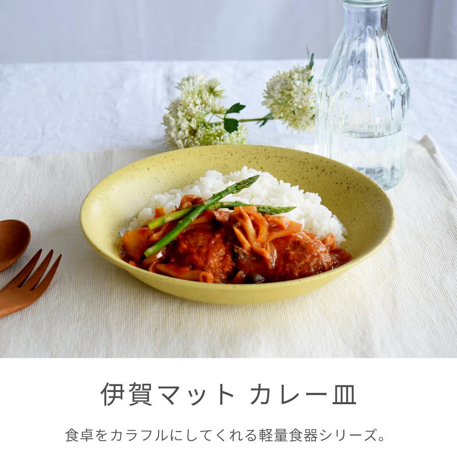 食器 和食器 おしゃれ 皿 カレー皿 伊賀マットカレー皿 モダン 美濃焼 軽量 軽い 大皿 深皿 パステルカラー カフェ風 電子レンジ対応 食洗機対応 : m’home style - 通販 ...