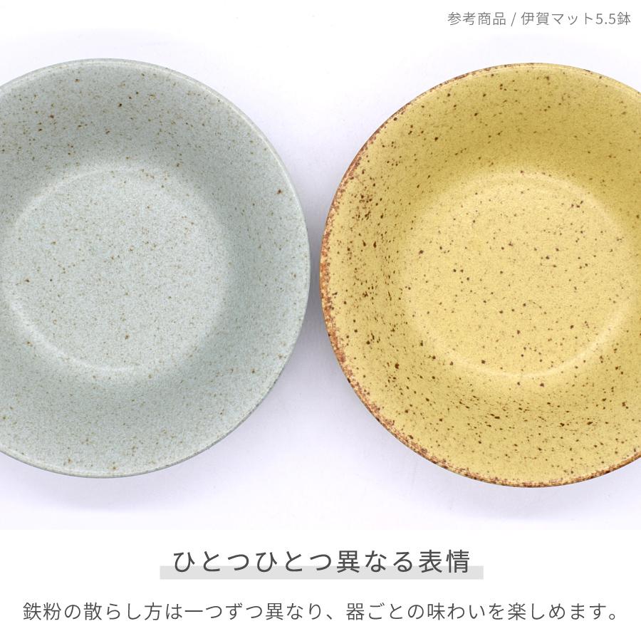 食器 和食器 おしゃれ 皿 カレー皿 伊賀マットカレー皿 モダン 美濃焼 軽量 軽い 大皿 深皿 パステルカラー カフェ風 電子レンジ対応 食洗機対応 : m’home style - 通販 ...