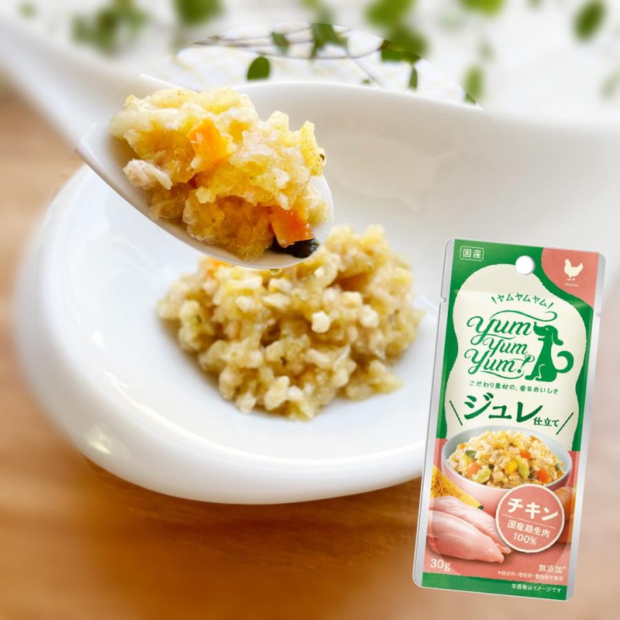 ヤムヤムヤム yum ジュレ仕立て チキン 30g×12袋+おまけは3種から選べる30g1袋 : みっちゃんのおうち - 通販 - Yahoo!ショッピング