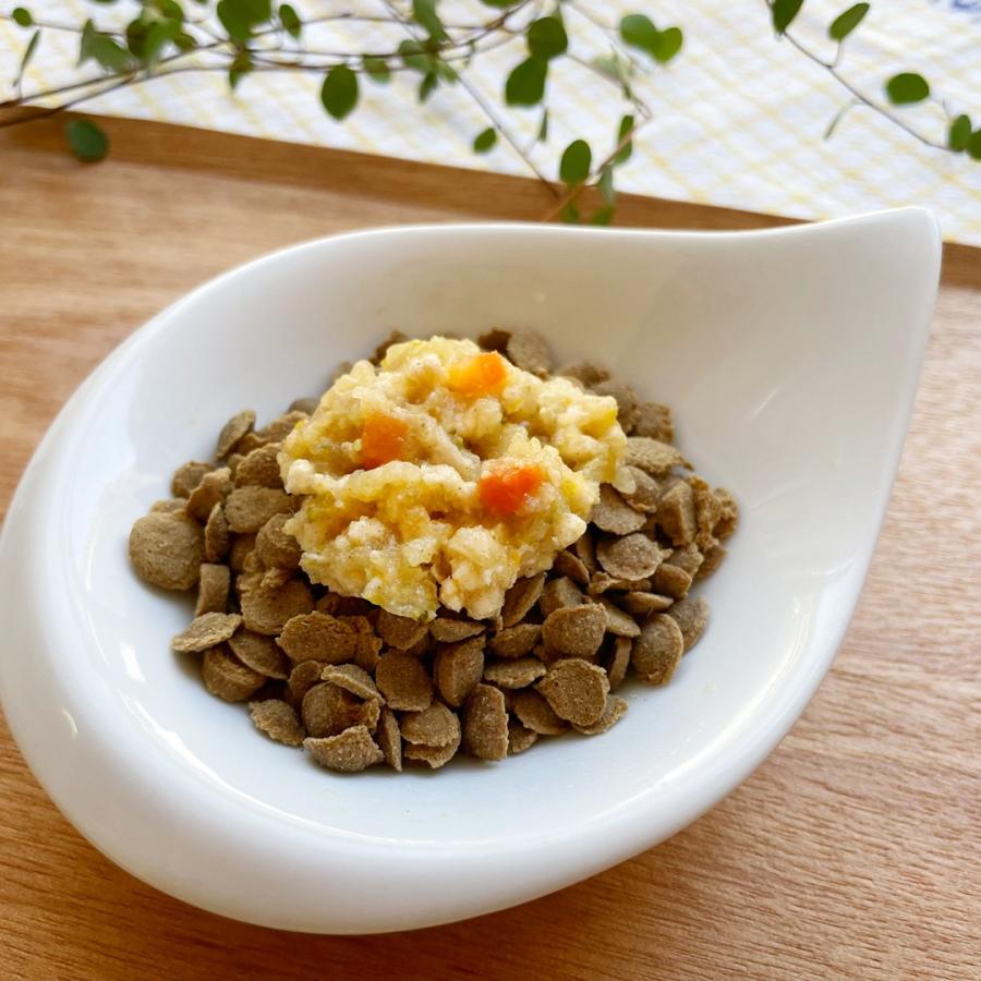 ヤムヤムヤム yum ジュレ仕立て チキン 30g×12袋+おまけは3種から選べる30g1袋 : みっちゃんのおうち - 通販 - Yahoo!ショッピング