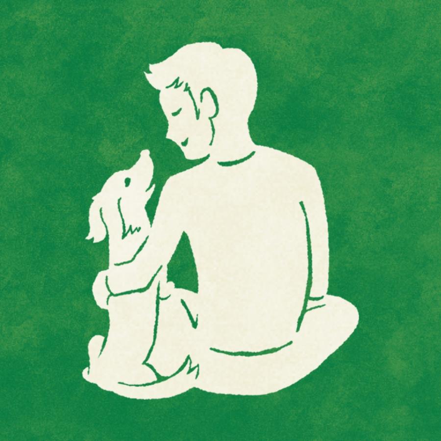 ヤムヤムヤム yum yum! ハイシニア 13+ チキン やわらかドライタイプ 800g(80g×10袋) 超小粒 総合栄養食 : みっちゃんのおうち - 通販 - Yahoo!ショッピング