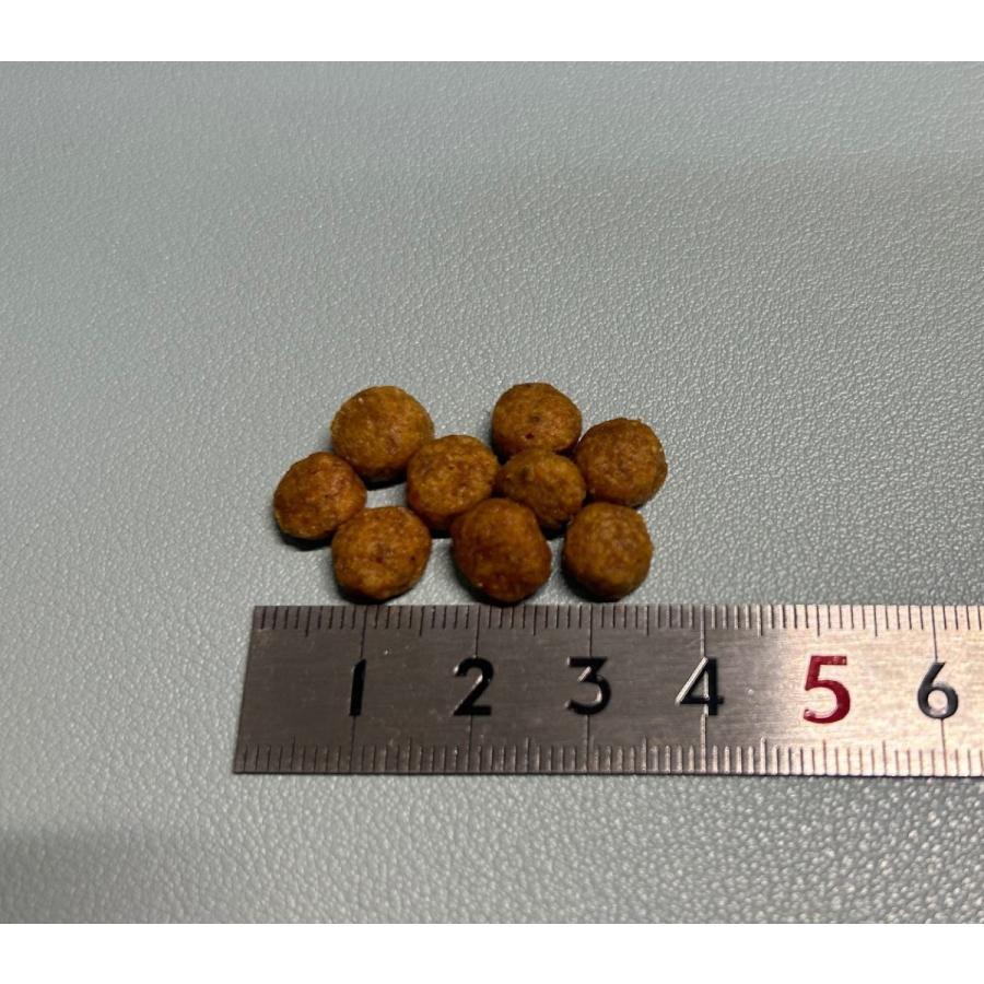 ロータス WelcomeHome ウェルカムホーム グレインフリー ポークレシピ 2.4kg（400g×6） ドライフード ドッグフード : みっちゃんのおうち - 通販 - Yahoo!ショッピング