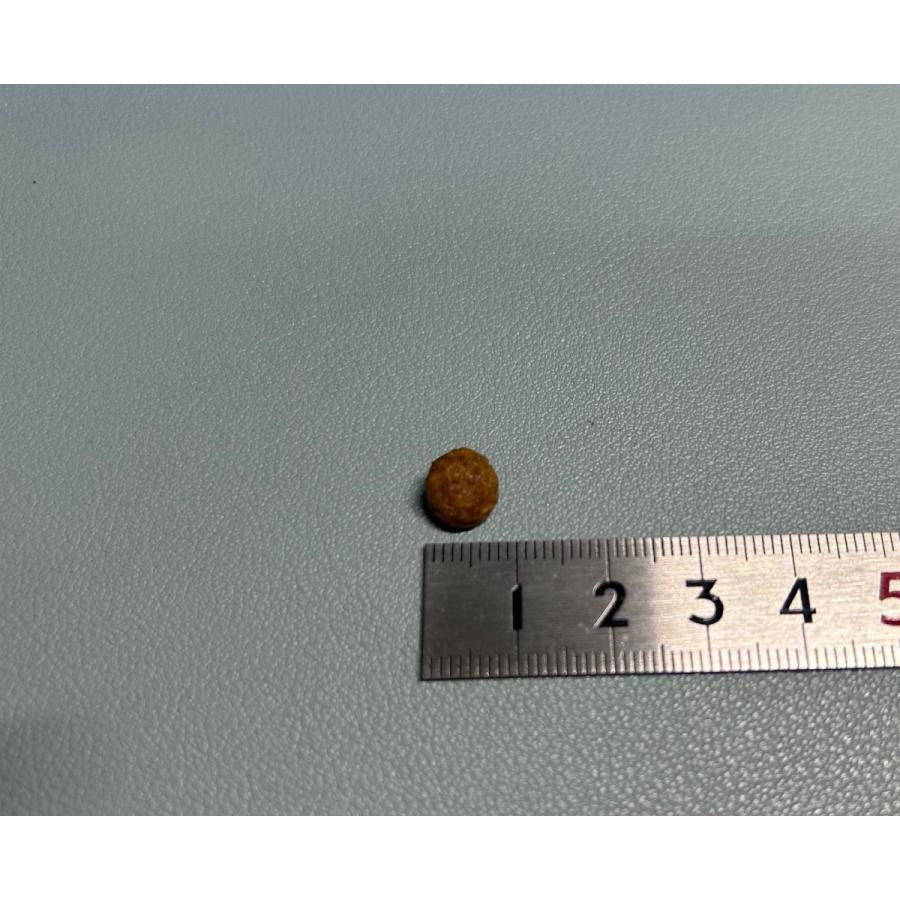 ロータス WelcomeHome ウェルカムホーム グレインフリー ポークレシピ 2.4kg（400g×6） ドライフード ドッグフード : みっちゃんのおうち - 通販 - Yahoo!ショッピング