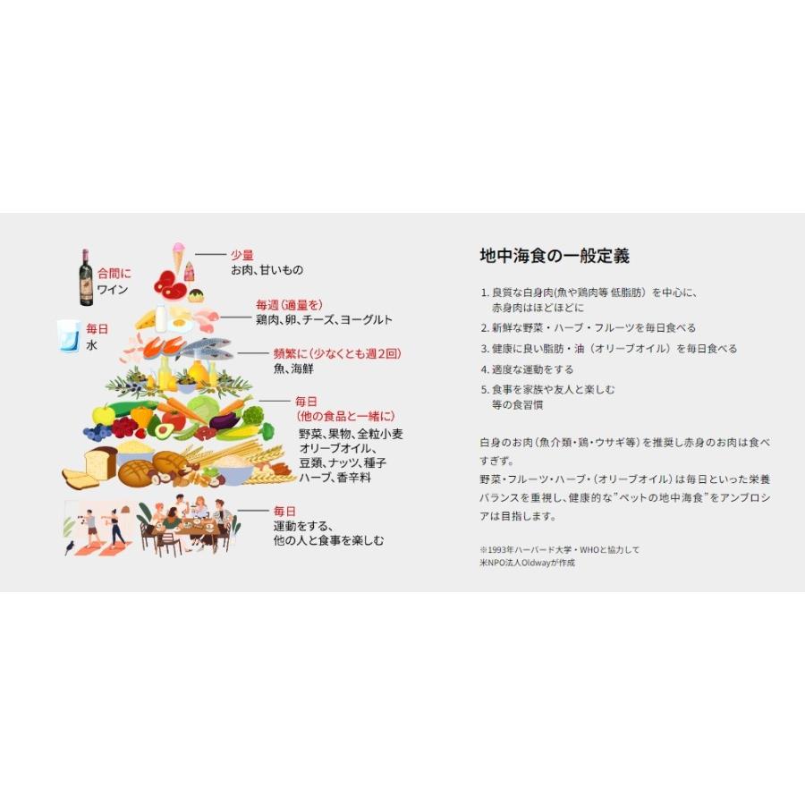 AMBROSIA アンブロシア HMNダック グレインフリー1.5kg 成犬 : みっちゃんのおうち - 通販 - Yahoo!ショッピング