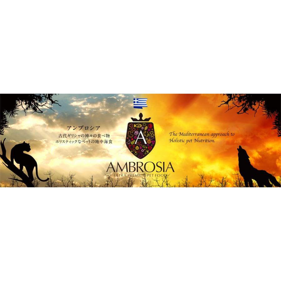 AMBROSIA アンブロシア HMN サーディン＆ツナグレインフリー1.5kg 成犬アレルギー : みっちゃんのおうち - 通販 - Yahoo!ショッピング