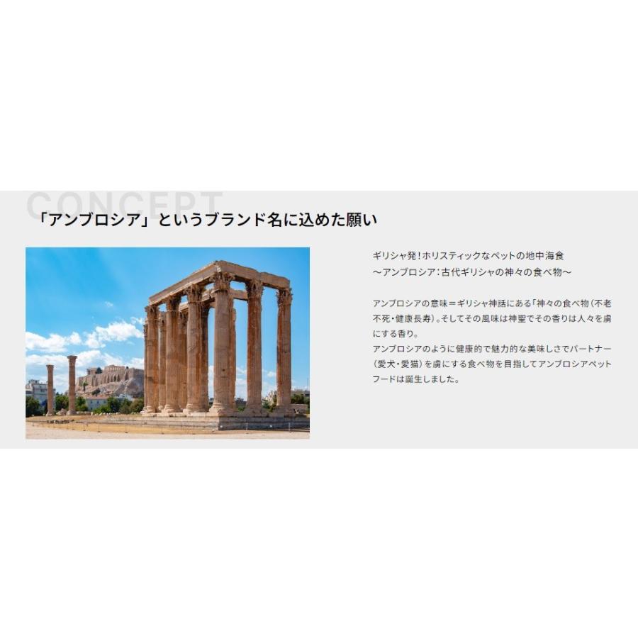 AMBROSIA アンブロシア HMN サーディン＆ツナグレインフリー1.5kg 成犬アレルギー : みっちゃんのおうち - 通販 - Yahoo!ショッピング