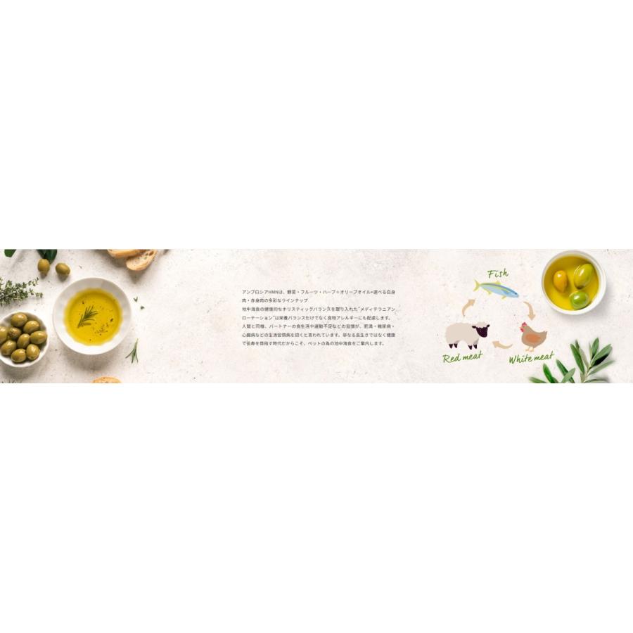 AMBROSIA アンブロシア HMN サーディン＆ツナグレインフリー1.5kg 成犬アレルギー : みっちゃんのおうち - 通販 - Yahoo!ショッピング