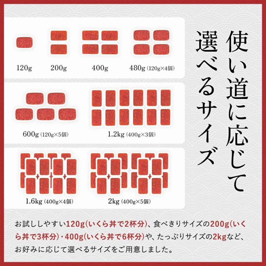【5の付く日限定！ポイント15倍】丸鮮道場水産 北海道産いくらしょうゆ漬け 600g(120g×5個セット) 味付イクラ 醤油漬け 国産 北海道直送 お取り寄せ 業務用 : たらこの道場水産 ...