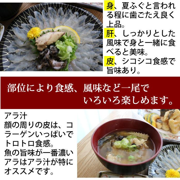 活き締め オコゼ 三昧セット(2〜3人前) おこぜ 約300gX2尾 刺身 から揚げが楽しめる :okoze-set:道乃屋ヤフーショッピング店 - 通販 - Yahoo!ショッピング