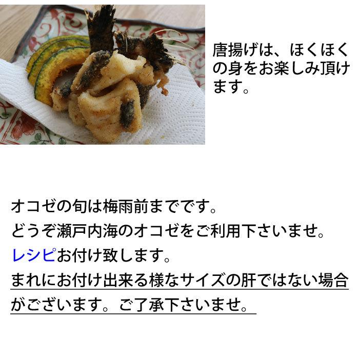 活き締め オコゼ 三昧セット(2〜3人前) おこぜ 約300gX2尾 刺身 から揚げが楽しめる : 道乃屋ヤフーショッピング店 - 通販 - Yahoo!ショッピング