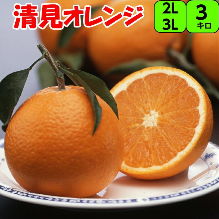紀州 貯蔵 清見 オレンジ 3kg 2L 又 3L 【秀品】 送料無料 果汁は豊富で甘さと酸味がほどよく調和されています みかん きよみ タンゴール 紀南 紀… : みどり果実 ヤフー店 ...