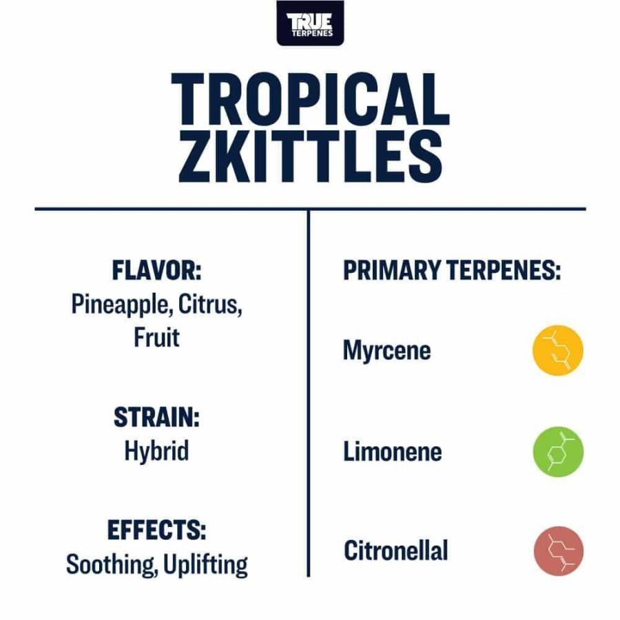 TT Tropical Zkittles Profile 2ml True Terpenes (正規代理店) : みどりラボ - 通販 ...