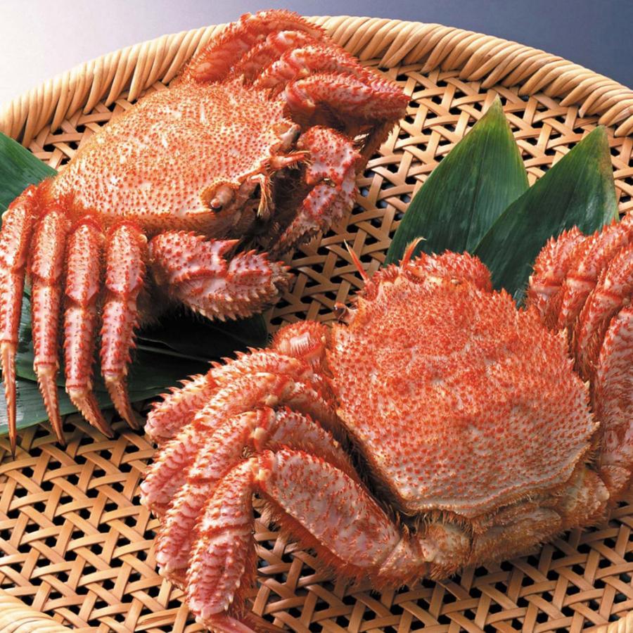 網走水産 北海道産 毛がに2尾セット APID-027 4826-474 毛蟹 かに カニ ボイル ギフト のし無料 内祝い お取り寄せグルメ 産直 お中元 夏ギフト 父の日 送料無料 ...