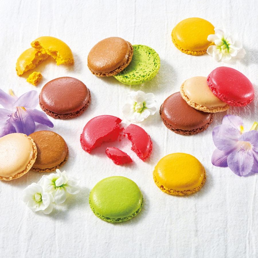 ダロワイヨ マカロンラスク 30枚入 MRU30 4826-602 焼き菓子 マカロン ギフト 詰め合わせ お取り寄せスイーツ お中元 夏ギフト 内祝い のし不可 送料無料 : みどりや ...