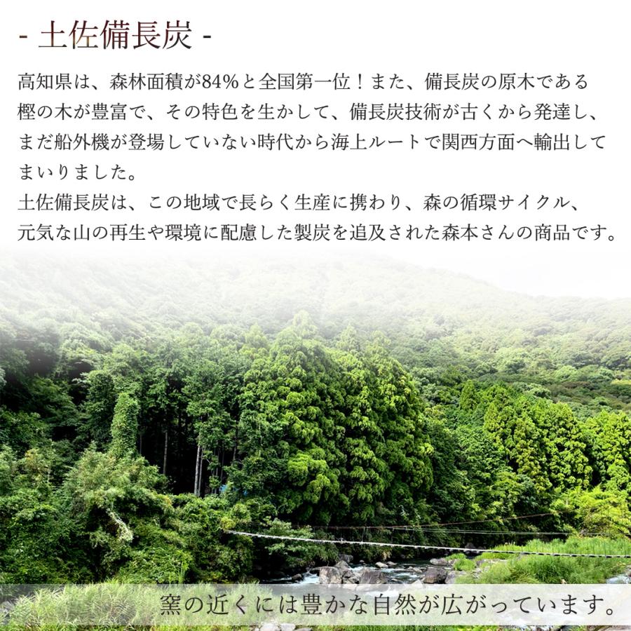 土佐備長炭 粉炭 訳あり 820g 備長炭 パウダー 粉末 高知産 室戸 高級炭 高知県産 国産 高級訳あり粉末 炭粉 家庭菜園 土壌改良 水質改善 メール便送料無料 : みどりや&GIFT ...