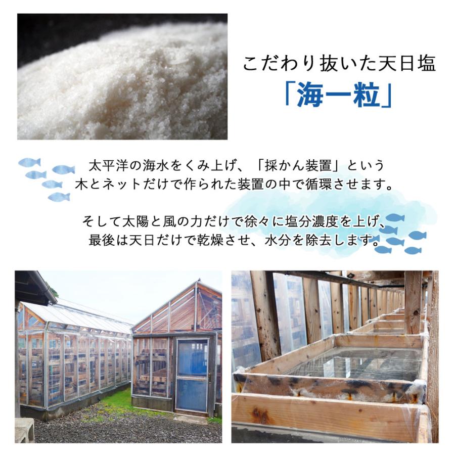 塩 天日塩 海一粒 100g 食塩 国産 お塩 高知産 ソルトビー 黒潮町熊野浦産 土佐の塩 太平洋の塩 高知 天然塩 自然塩 高知県産 国産塩 送料200 : みどりや&GIFT - 通販 ...