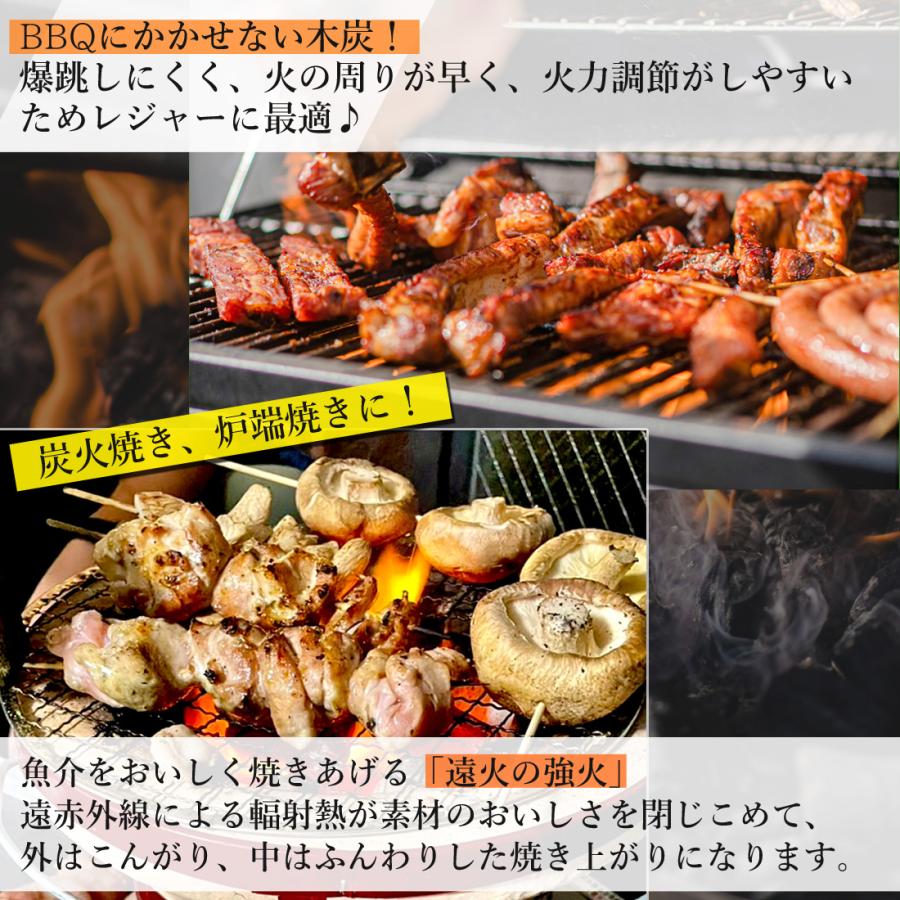 四万十産 木炭 黒炭 BBQ用 切炭 6kg 箱入り 高知県産 高知 四万十 炭 バーベキュー 消臭 除湿 置き炭 火鉢 国産木炭 6キロ キャンプ 純国産 送料無料 あすつく : みどりや ...