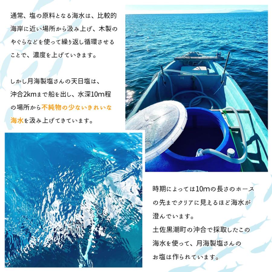 完全天日塩 30g 4個セット 黒潮町 月海製塩 満月の塩 新月の塩 小粒 大粒 高知産 100％自然塩 幻の天日塩 国産 塩 土佐の塩 ミネラル豊富 メール便送料無料 : みどりや&GIFT ...