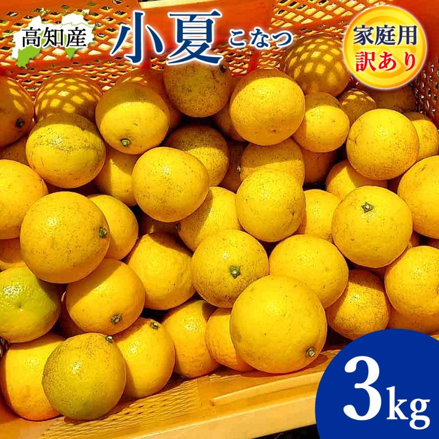 小夏 無農薬 土佐小夏 3kg 家庭用 訳あり 混合サイズ 3キロ 四万十くじら こなつ 高知産 日向夏 高知 ニューサマーオレンジ 産直 ...