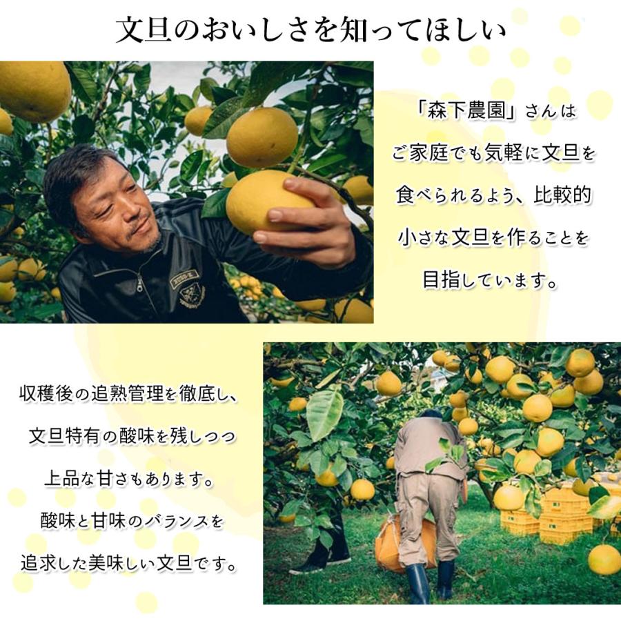 文旦 土佐文旦 家庭用 小サイズ S/M 5kg産直 森下農園 宿毛 ぶんたん 宿毛市 産地直送 高知産 宿毛産 5キロ 果物 柑橘 送料無料 : みどりや&GIFT - 通販 - Yahoo ...