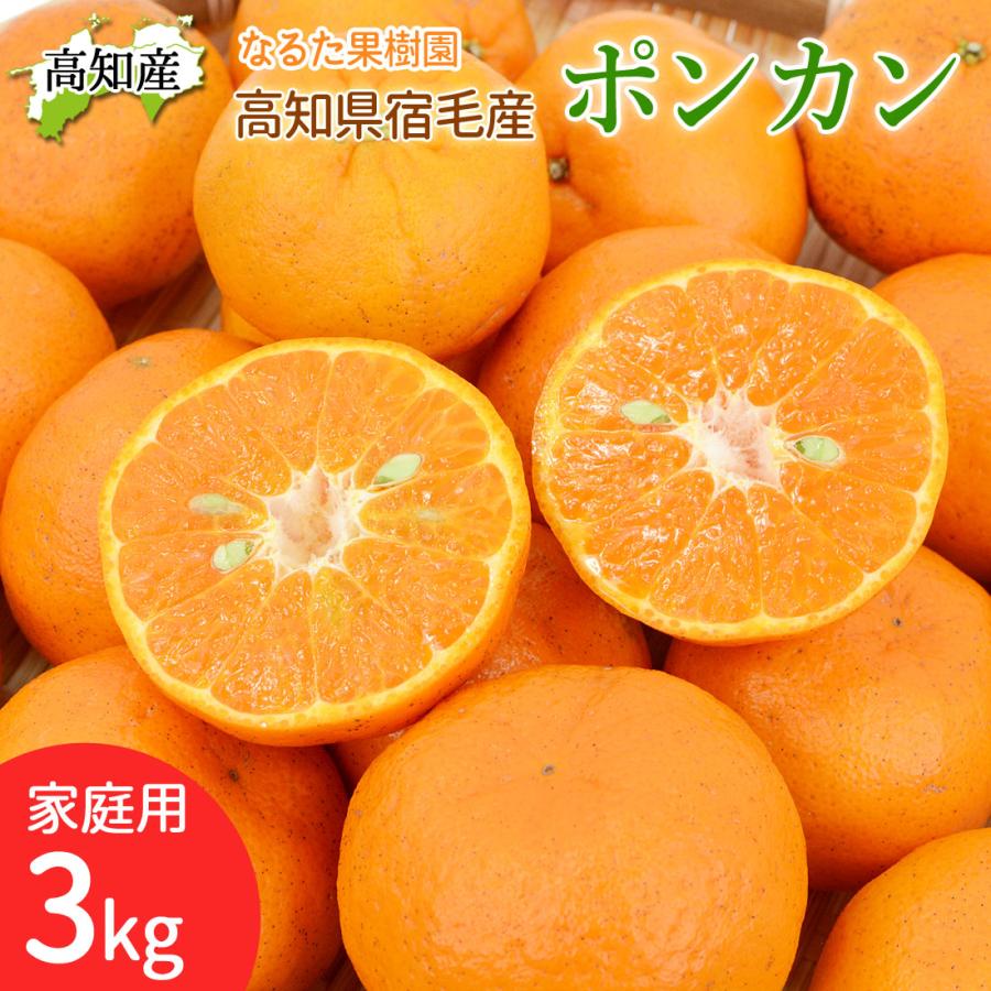 ポンカン 高知産 3kg 家庭用 なるた果樹園 産地直送 高知県 宿毛市 国産 ぽんかん 3キロ みかん 甘くて美味しい蜜柑 柑橘 果物 ...