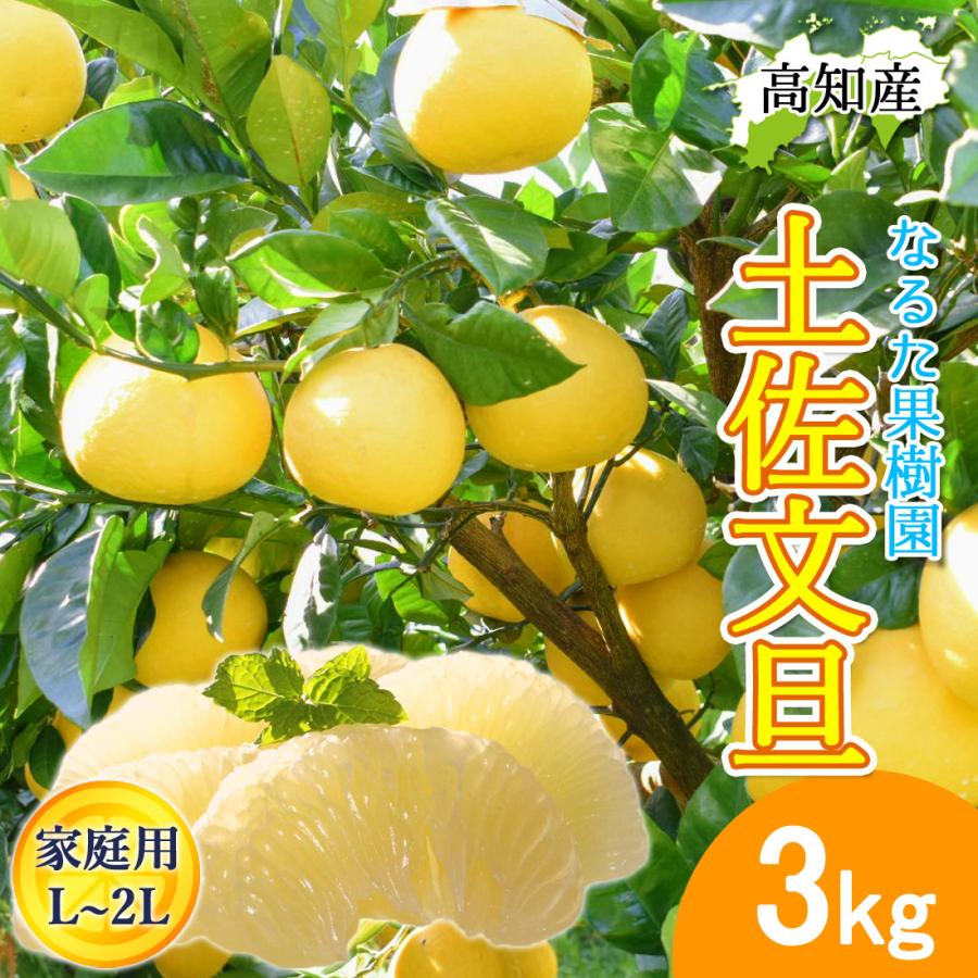 文旦 土佐文旦 家庭用 3kg L〜2Lサイズ 6〜7玉 なるた果樹園 宿毛 ぶんたん 宿毛市 産地直送 高知産 3キロ ジューシー まろやか ...