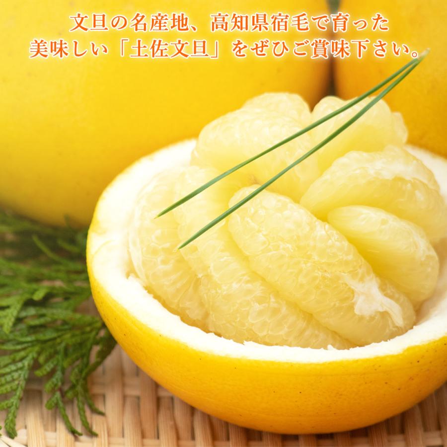 文旦 土佐文旦 家庭用 L〜4L 混合 17〜22玉 10kg 宿毛文旦 産直 千の果樹園 宿毛 ぶんたん 宿毛市 産地直送 高知産 10キロ 果物 柑橘 送料無料 : みどりや&GIFT ...