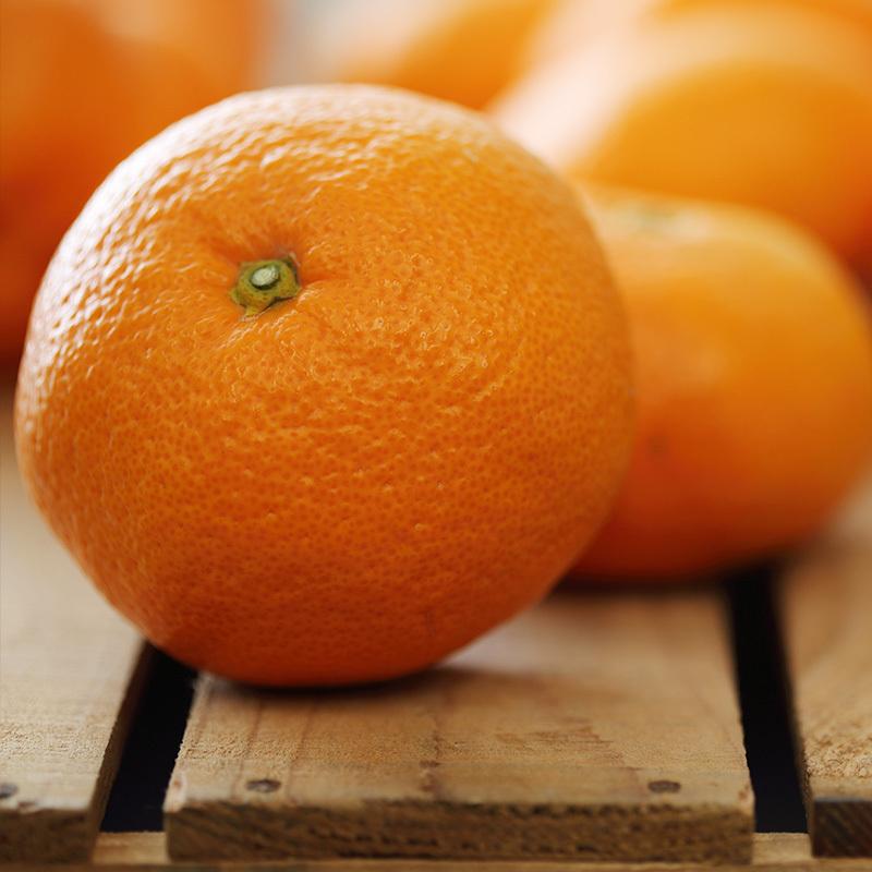 みかん 青島みかん 優品 2Lサイズ 7kg JAみっかび 産地直送 三ヶ日ミカン【他の商品と同時購入不可商品】【年明け発送：2025年1月上旬〜】 : JAみっかび ミカちゃんショップ ...