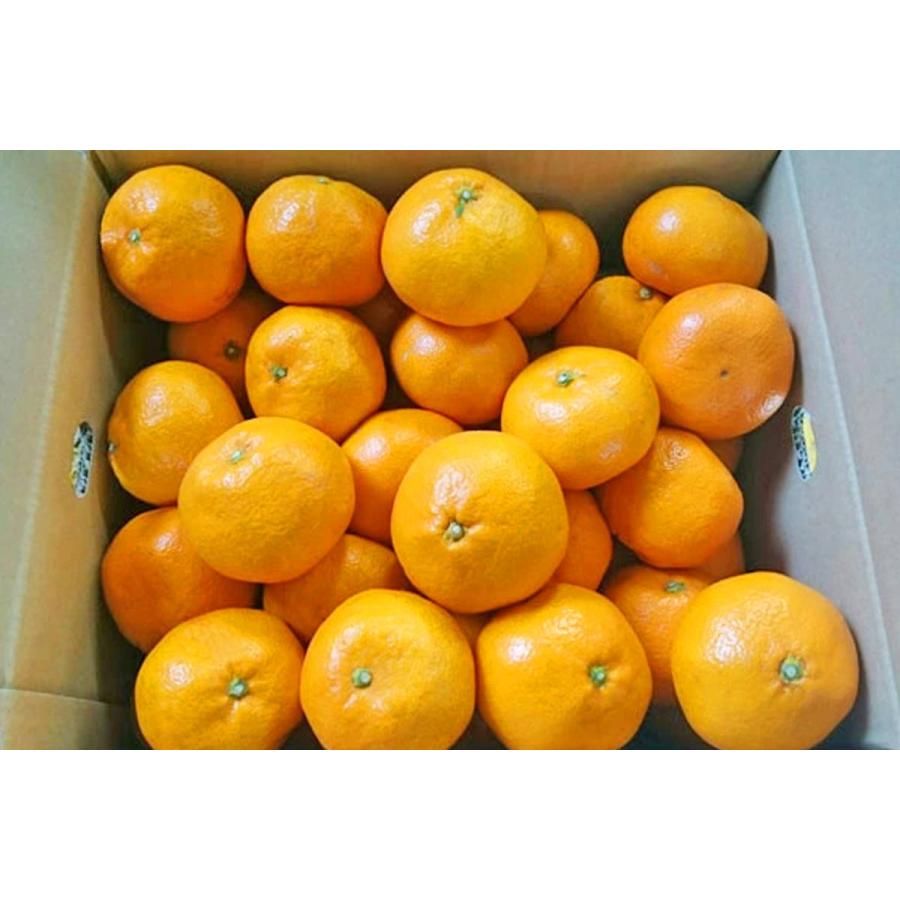 40％OFFクーポン みかん 5kg 甘い ご家庭用 訳あり 大玉 L〜3Lサイズ 20〜30玉前後入り 愛媛 西宇和 八幡浜 フルーツ くだもの ミカン 蜜柑 : 2l-5 : みかんの花 ...