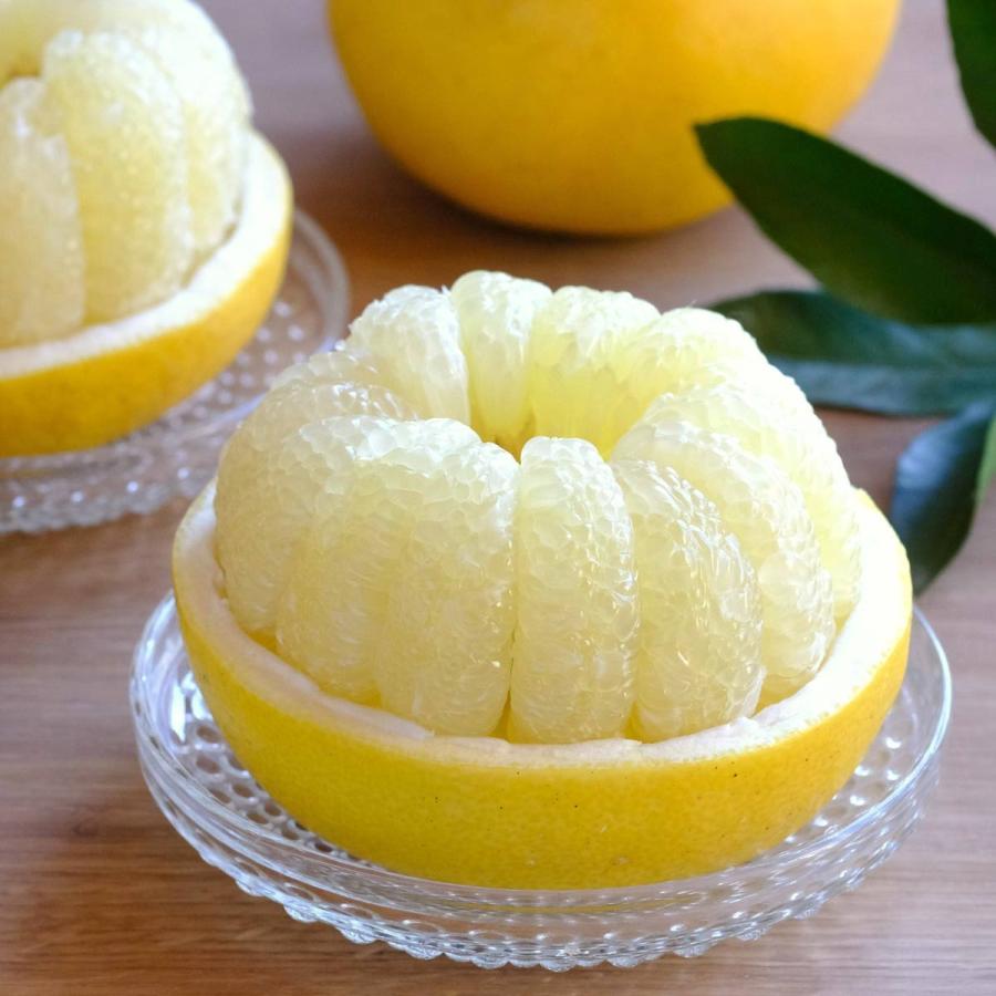 文旦 土佐文旦 大玉 厳選 2L 3L サイズ 6kg 訳あり ご家庭用 ぶんたん 土佐文旦 旬 箱買い お取り寄せ : buntan-w6 : みかんの花 - 通販 - Yahoo!ショッピング